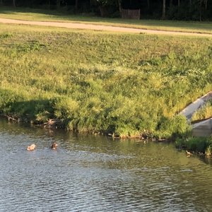 HOLIDAY PARK, BENBROOK LAKE - 18 Photos - Hiking - Pearl Ranch Rd, Fort ...