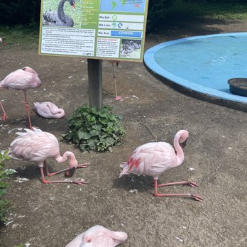 SOUTHWICK’S ZOO - Updated November 2024 - 583 Photos & 291 Reviews - 2 ...