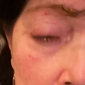 OCLI MANHASSET - Updated January 2026 - 12 Reviews - 1355 Northern ...