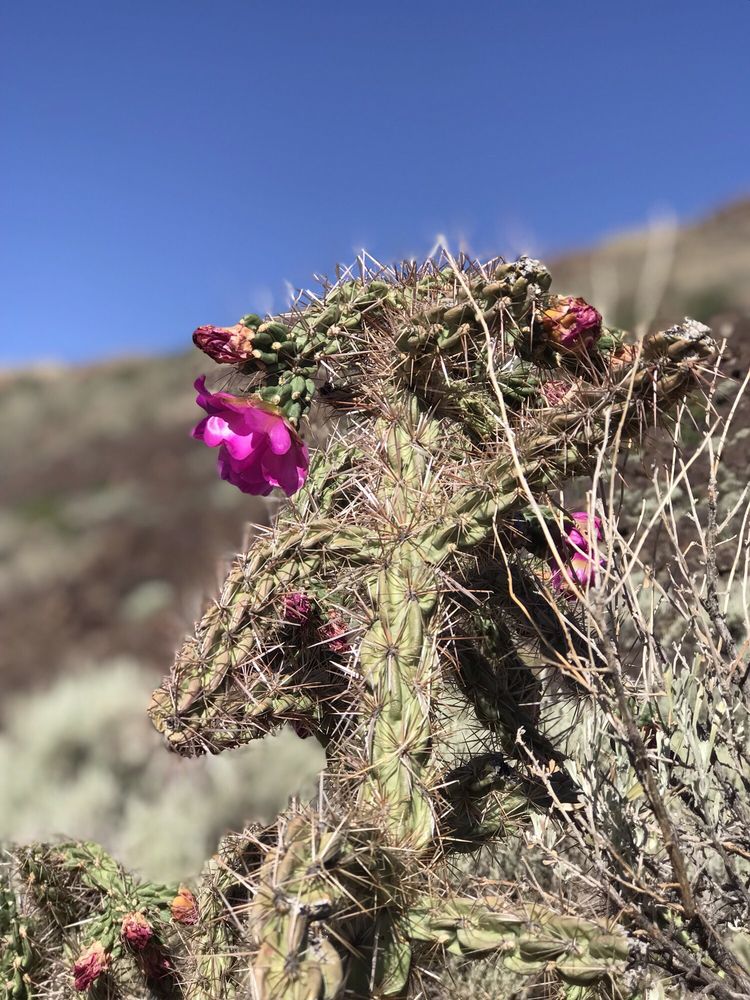 Orilla Verde Recreation Area Updated July 2024 2873 North State Rd 68 Pilar New Mexico