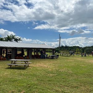 THE LITTLE FARM - 154 Photos & 59 Reviews - 13401 SW 224th St, Miami ...