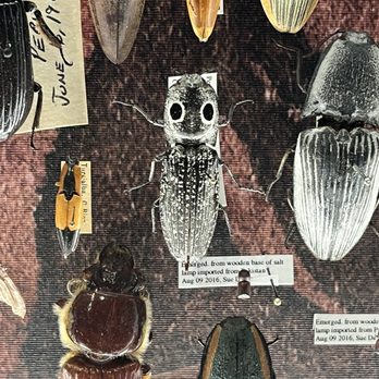 CLEVELAND MUSEUM OF NATURAL HISTORY - Updated January 2026 - 624 Photos ...