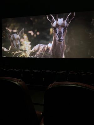 ZEUS DIGITAL THEATER - Updated January 2026 - 49 Reviews - 120 Osage Ln ...