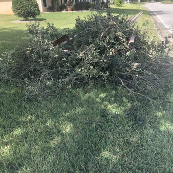 TIP TOP TREE EXPERTS - Updated October 2025 - 30 Photos & 15 Reviews ...