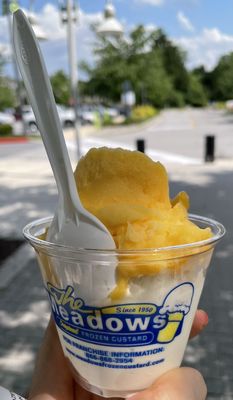 THE MEADOWS ORIGINAL FROZEN CUSTARD - Updated October 2025 - 76 Photos ...