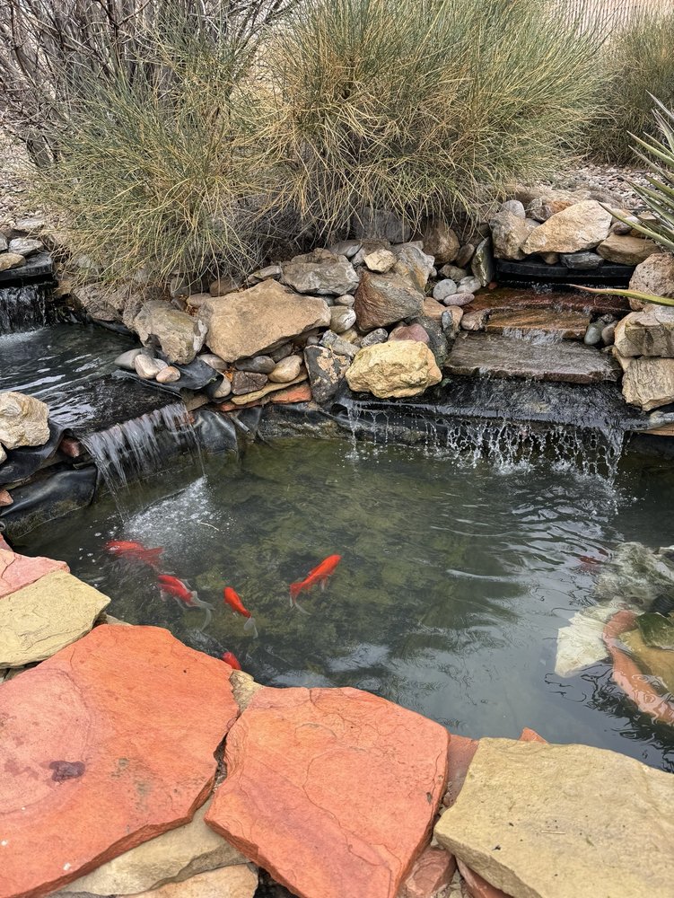 POND DOCTOR - Updated October 2025 - 24 Photos - Rio Rancho, New Mexico ...
