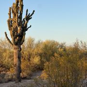 MACDONALD’S RANCH - 381 Photos & 225 Reviews - 26540 N Scottsdale Rd ...