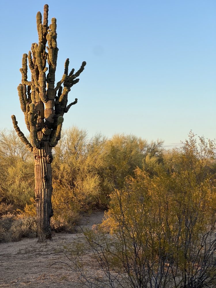 MACDONALD’S RANCH - Updated October 2025 - 532 Photos & 291 Reviews ...