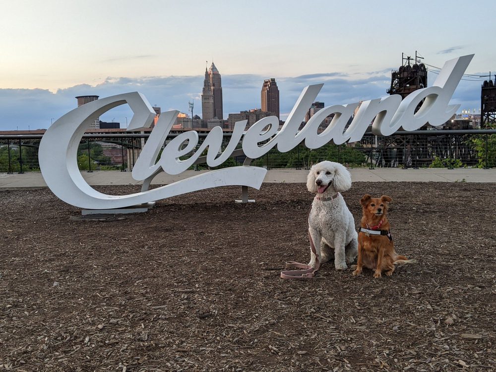CLEVELAND SCRIPT SIGN - TREMONT - Updated December 2025 - 37 Photos ...
