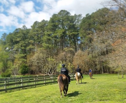 THE 10 BEST Things to Do in Assawoman, VA - 2022 - Yelp