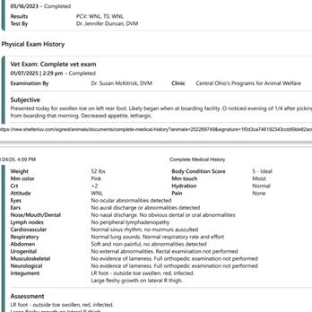 ALL TAILS R WAGGIN - Updated December 2025 - 148 Photos & 82 Reviews ...