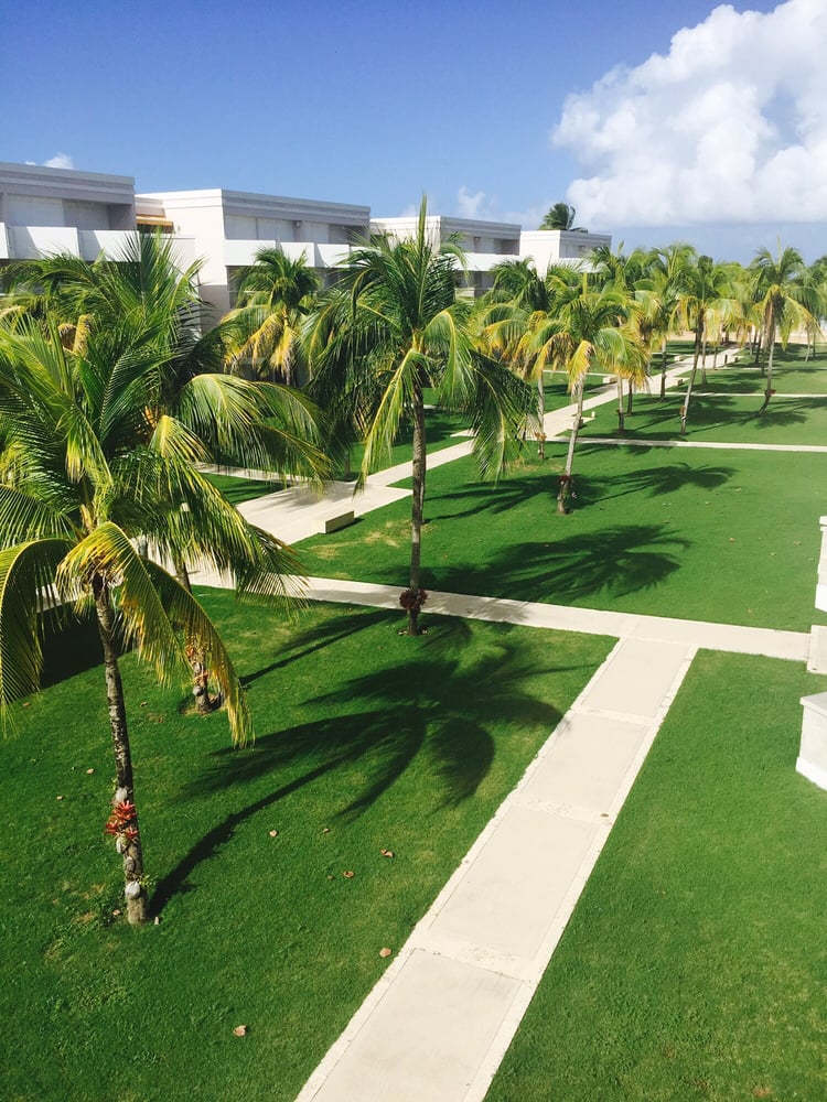 BOSQUE DEL MAR - Blvd. Rio Mar S/N, Río Grande, Puerto Rico - Yelp