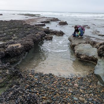 CARDIFF STATE BEACH - Updated December 2025 - 283 Photos & 121 Reviews ...