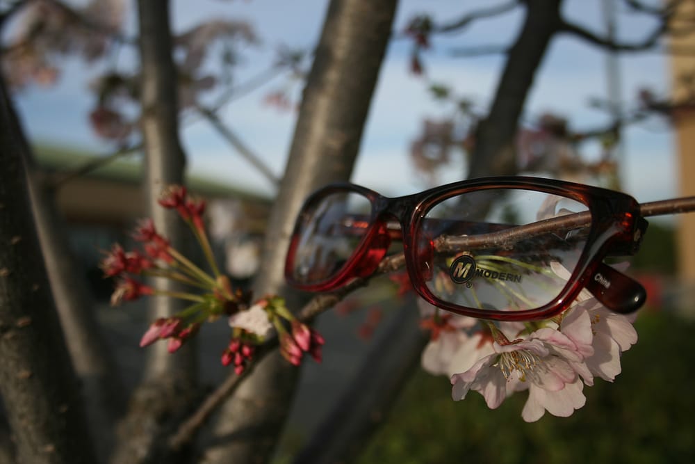 COOL OPTOMETRY - Updated October 2025 - 13 Photos - 5020 Ellinghouse Dr ...