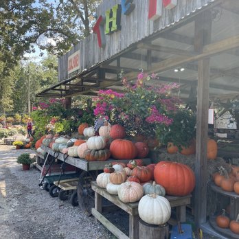 THEISS FARM MARKET - Updated December 2025 - 29 Photos & 37 Reviews ...