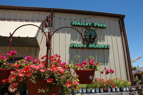 HASLET FEED AND FARM MARKET - 13 Photos - 100 Main St, Haslet, Texas ...