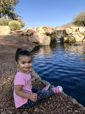 ANTHEM COMMUNITY PARK - 122 Photos & 52 Reviews - Parks - 41703 N ...