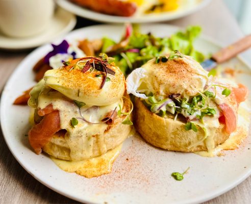 PEACOCK PANSY - Updated January 2026 - 1144 Photos & 406 Reviews - 392 ...