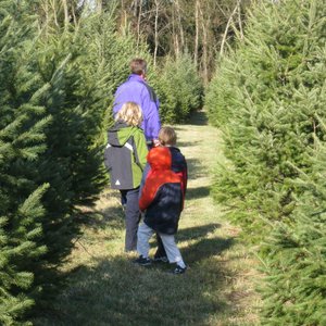 SNICKERS GAP CHRISTMAS TREE FARM - TEMP. CLOSED - Updated January 2025 ...