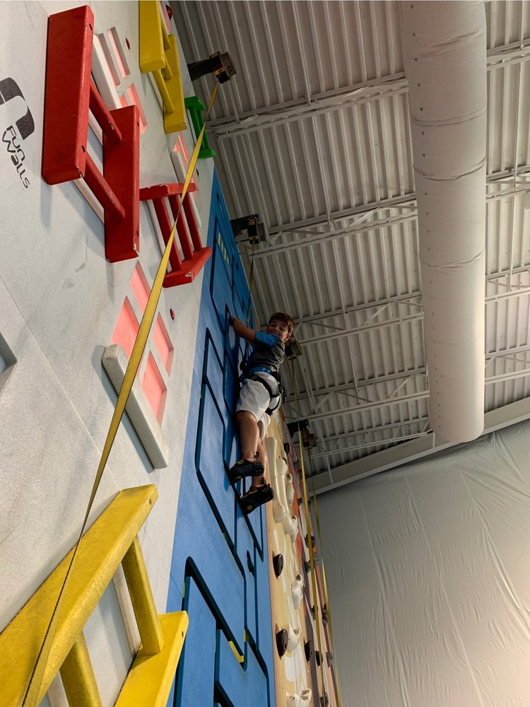 High Point Climbing and Fitness Memphis, Memphis | Roadtrippers