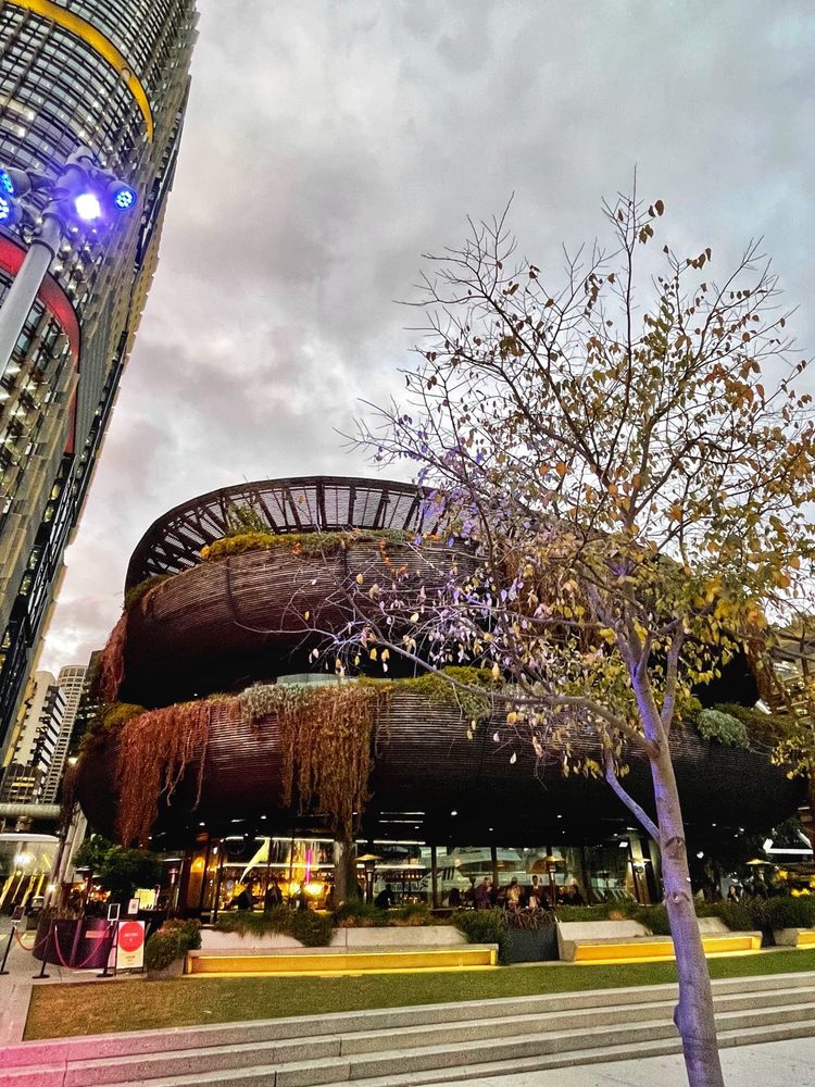 BARANGAROO HOUSE - Updated November 2024 - 10 Photos & 10 Reviews - 35 ...