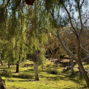 EARVIN MAGIC JOHNSON PARK - Updated December 2025 - 79 Photos & 37 ...