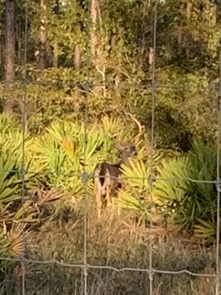 BRANAN FIELD WILDLIFE & ENVIRONMENTAL AREA - 14 Photos - 11900 Branan ...