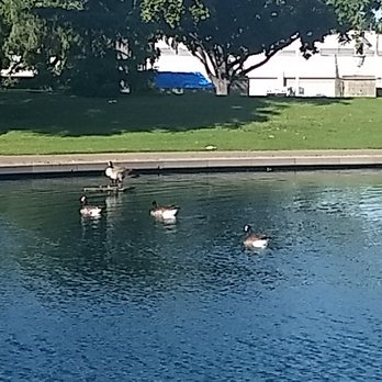 SUNNYVALE COMMUNITY CENTER - Updated September 2025 - 158 Photos & 40 ...