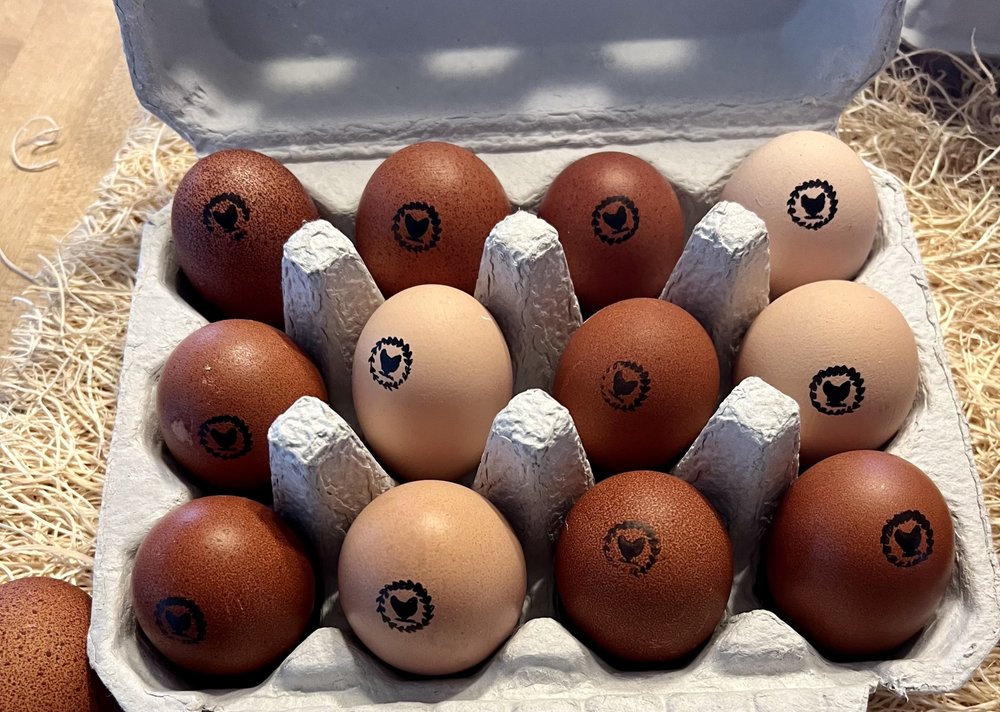 HERITAGE SPRINGS - Updated August 2025 - 13 Photos - 12750 Chatter ...