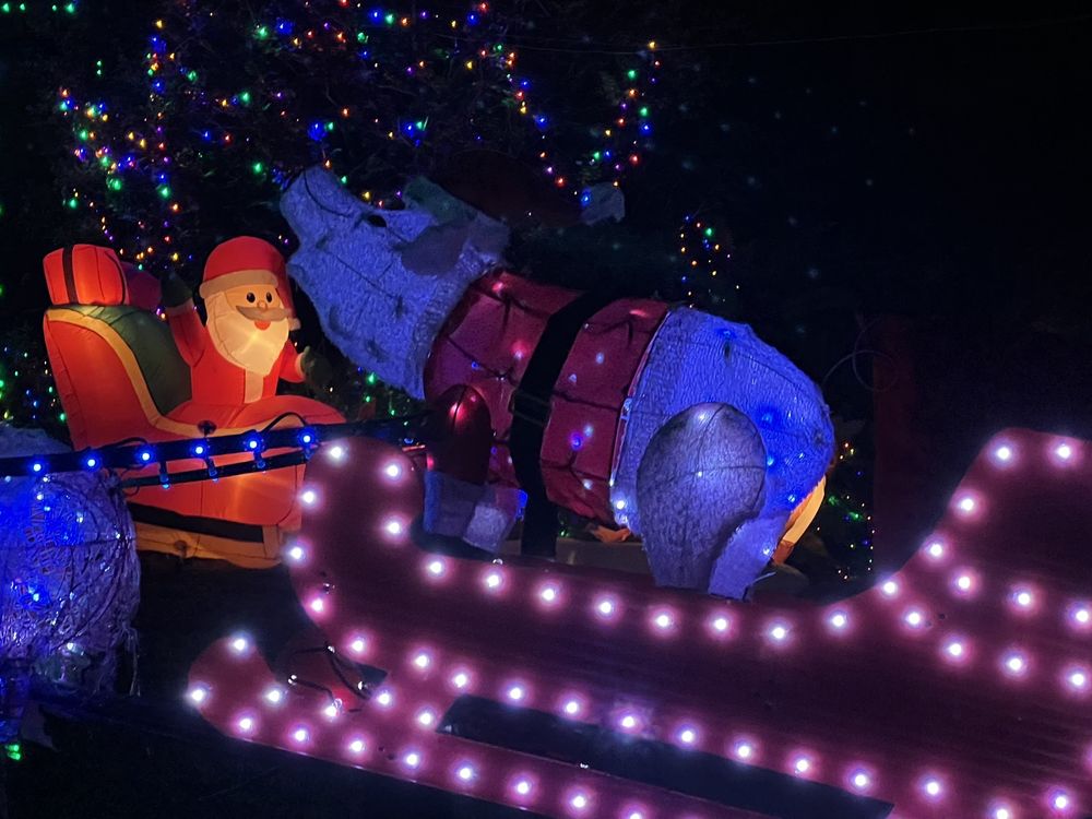 PIG FARM CHRISTMAS LIGHT SHOW - Updated May 2026 - 21 Photos - 11106 ...