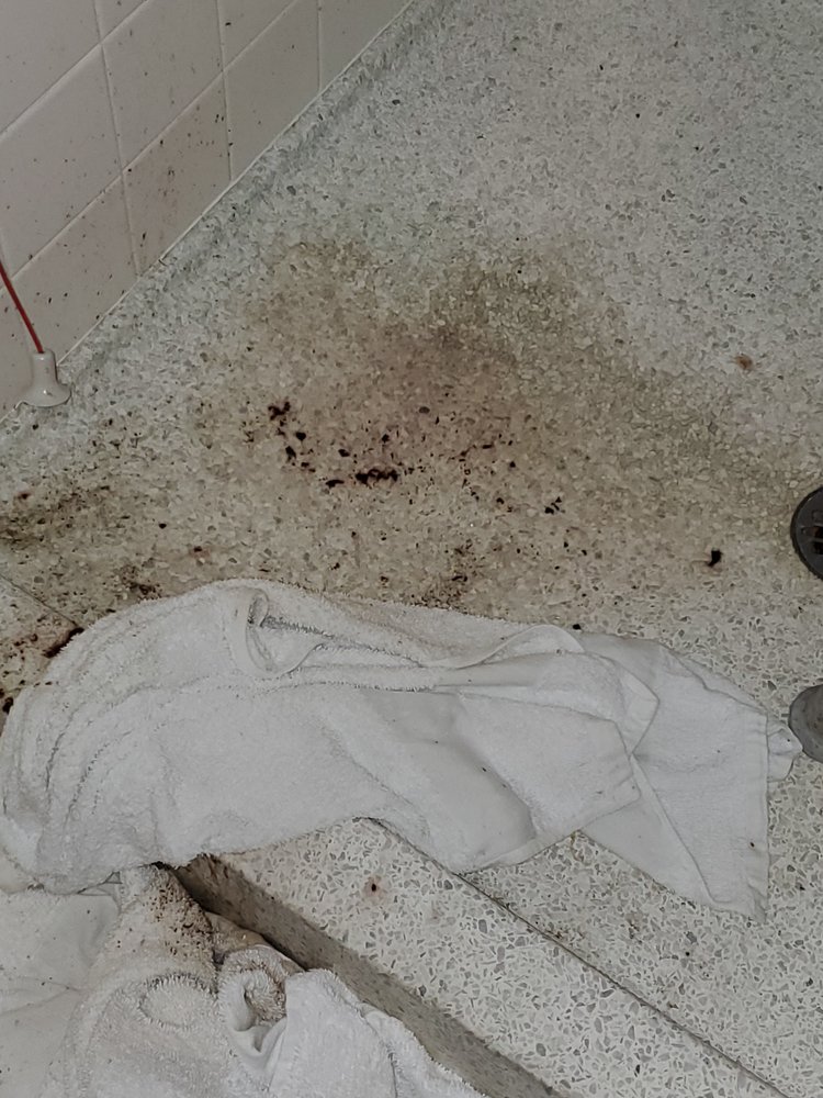 BAYFRONT HEALTH SPRING HILL - Updated June 2025 - 30 Reviews - 10461 ...