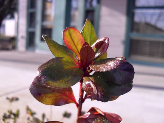 CHARLES JORDAN COMMUNITY CENTER - Updated August 2025 - 26 Photos ...