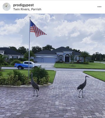 PRODIGY PEST SOLUTIONS - Updated January 2026 - 20 Photos & 44 Reviews ...