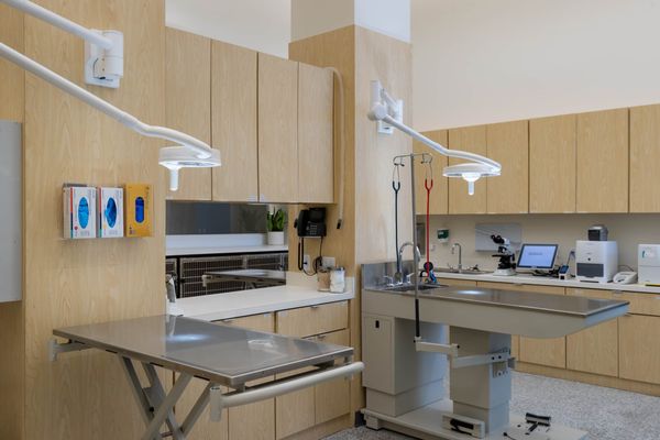 THE VILLAGE ANIMAL HOSPITAL - Updated September 2025 - 22 Photos & 37 ...