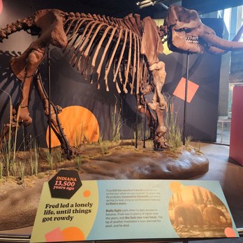 INDIANA STATE MUSEUM - Updated March 2025 - 947 Photos & 141 Reviews ...