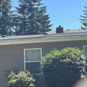 MICHELLE RAMSDEN - PO Box 296, Vashon, Washington - Landscaping - Phone ...