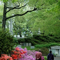 MOUNT AUBURN CEMETERY - 287 Photos & 131 Reviews - 580 Mt Auburn St ...