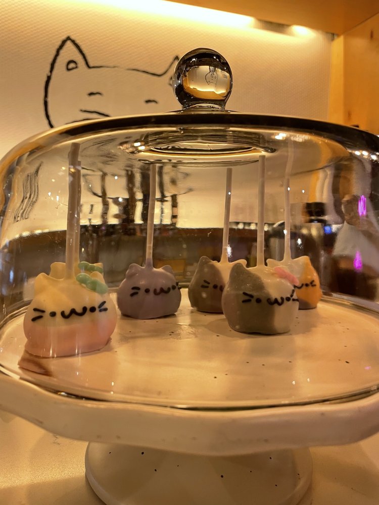 NEKO: A CAT CAFE - 815 Photos & 281 Reviews - 519 E Pine St, Seattle ...