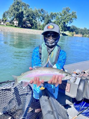 THE FLY SHOP - Updated September 2025 - 38 Photos & 62 Reviews - 4140 ...