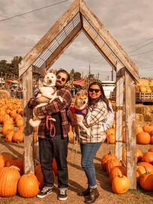YESTERYEAR FARMS - TEMP. CLOSED - Updated January 2026 - 214 Photos ...