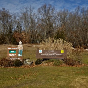 STOKES STATE FOREST - Updated December 2025 - 96 Photos & 41 Reviews ...