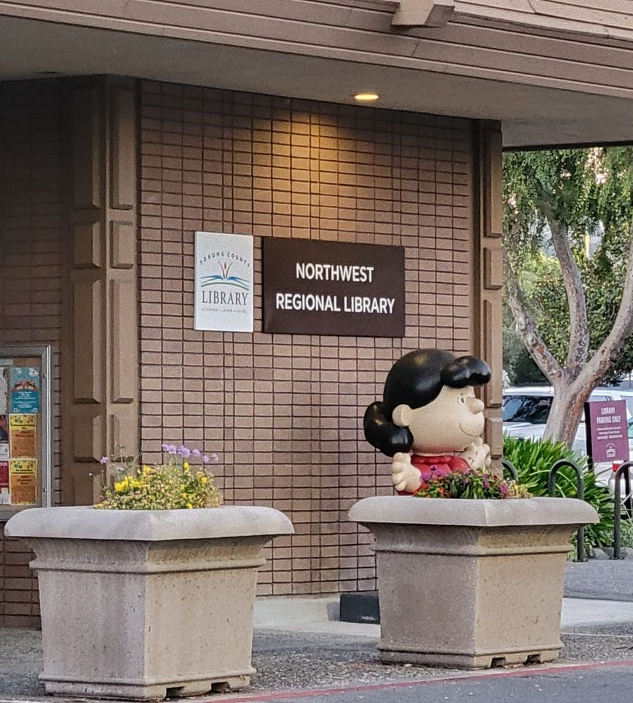 NORTHWEST SANTA ROSA LIBRARY - Updated August 2025 - 10 Photos - 1331 ...