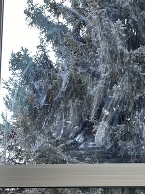 DURABUILT WINDOWS & DOORS - Updated January 2026 - 36 Photos & 40 ...