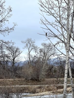 ESTHER SIMPLOT PARK - Updated August 2025 - 80 Photos & 15 Reviews ...