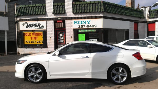 GOLD WINDOW TINT - Updated November 2025 - 69 Photos & 101 Reviews ...