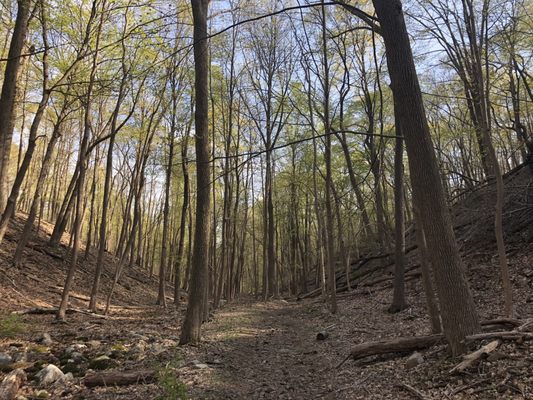 HIGH MOUNTAIN PARK PRESERVE - Updated April 2025 - 31 Photos - Wayne ...