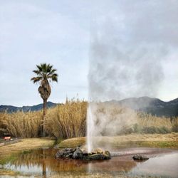 OLD FAITHFUL GEYSER OF CALIFORNIA - 512 Photos & 353 Reviews ...