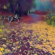 DON CASTRO REGIONAL RECREATION AREA - 338 Photos & 75 Reviews - 22400 ...