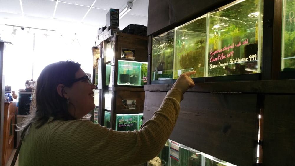 FANTASTIC FINS - Updated January 2026 - 25 Reviews - 38131 Ann Arbor Rd ...