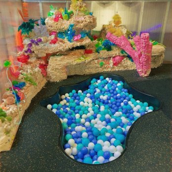 ANOTHER ROUND - Updated April 2025 - 222 Photos & 214 Reviews - 660 ...